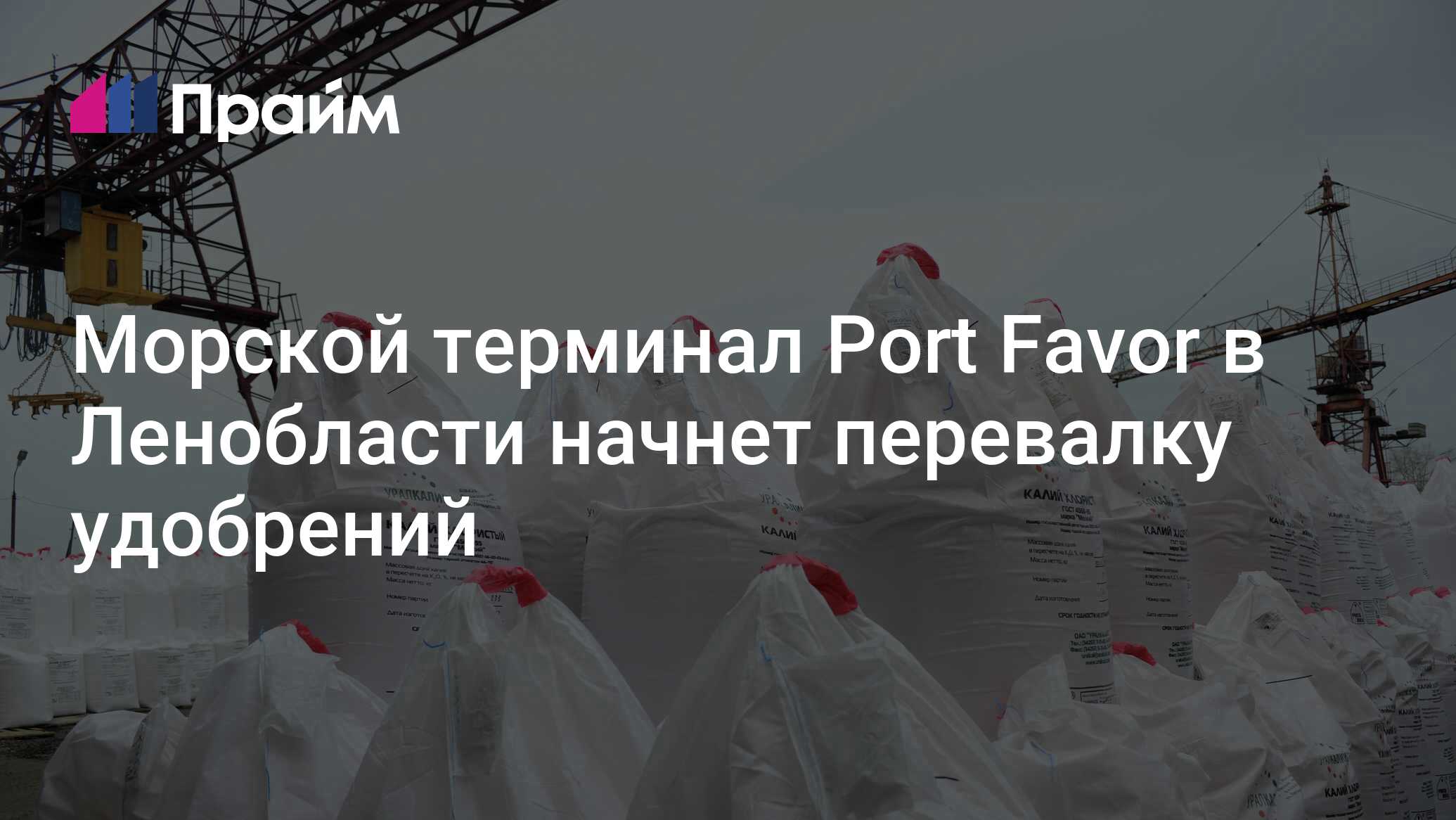Морской терминал Port Favor в Ленобласти начнет перевалку удобрений ...